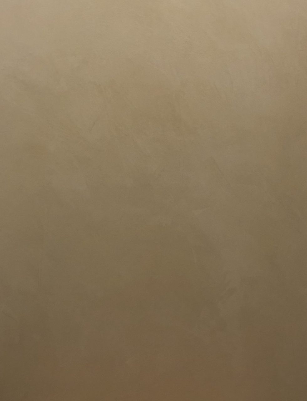 Finish Gallery - Artisan Venetian Plaster